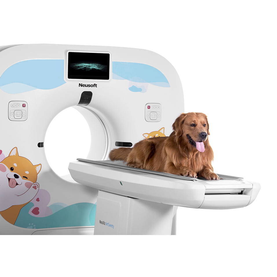 CT scanner veterinario NEUVIZ VET SWEETY 16 - RX Services